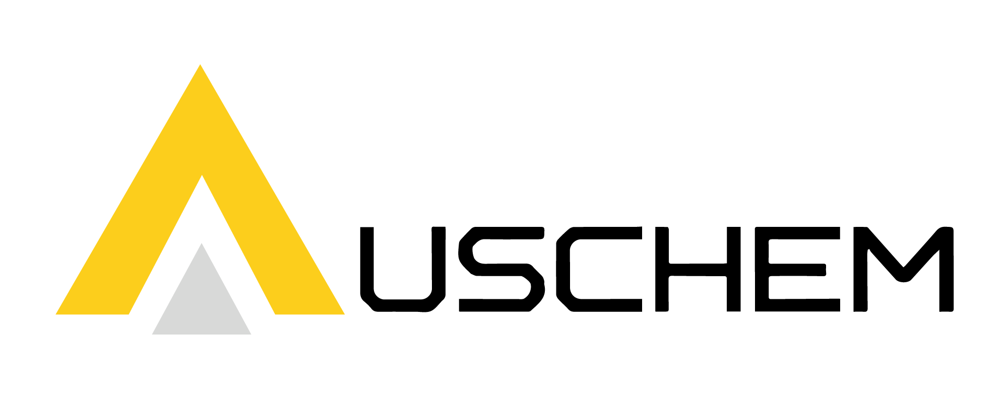 Servicios Especiales Logo